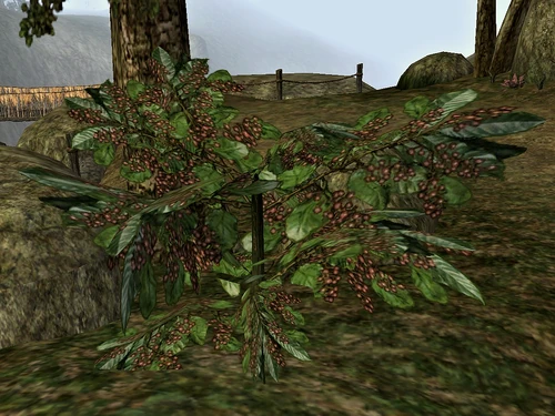 [REQUEST] Skyrim-compatible comberry and comberry bush .nifs and ...