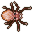 Blood Crawler - Terraria Wiki