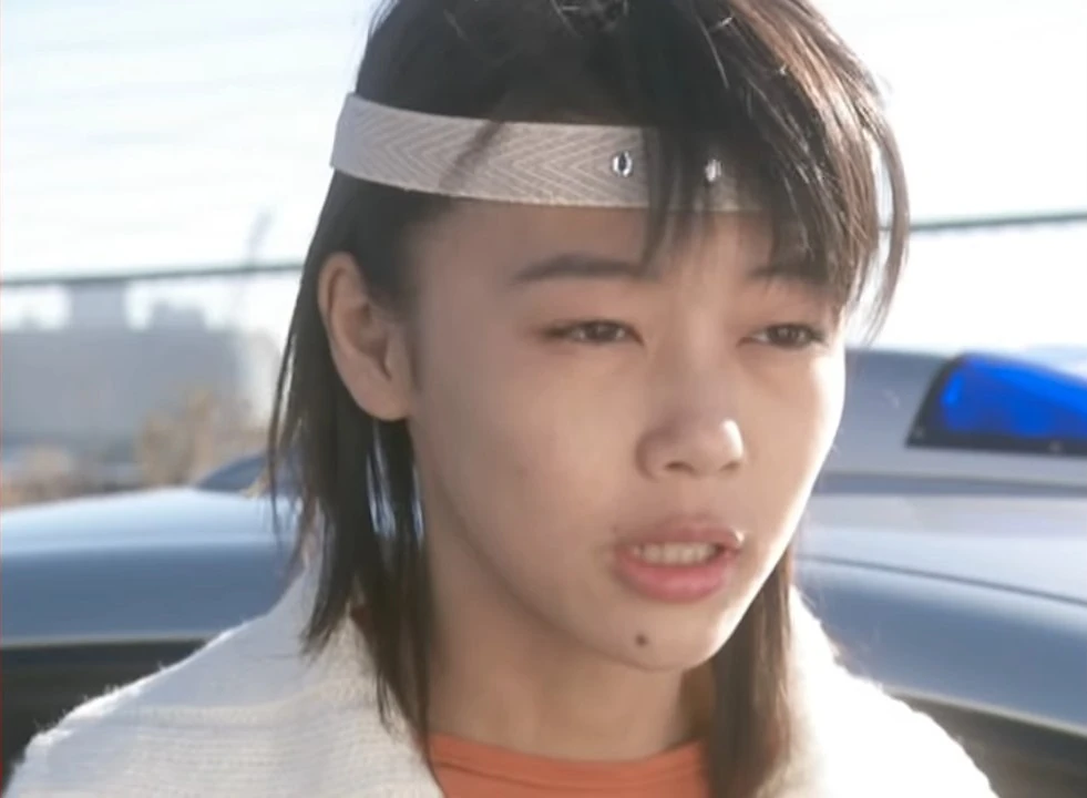 Ultraman Cosmos The World Of Neo Frontier Chaos Ultra