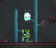 Wisp in a Bottle - Terraria Wiki