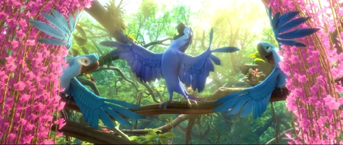 Roberto - Rio Wiki - Wikia