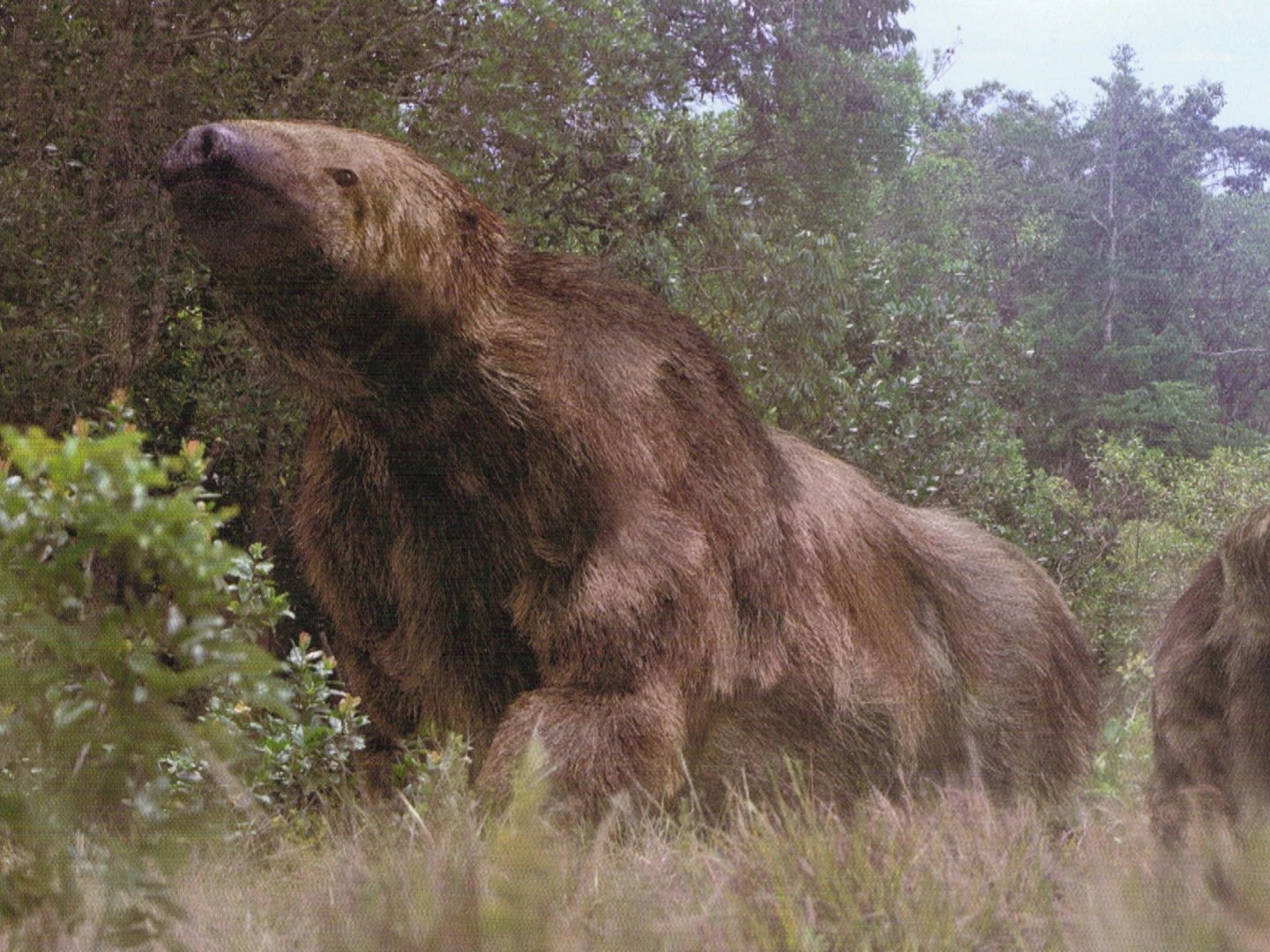 Megatherium - Walking With Wikis - the free Walking with... encyclopedia