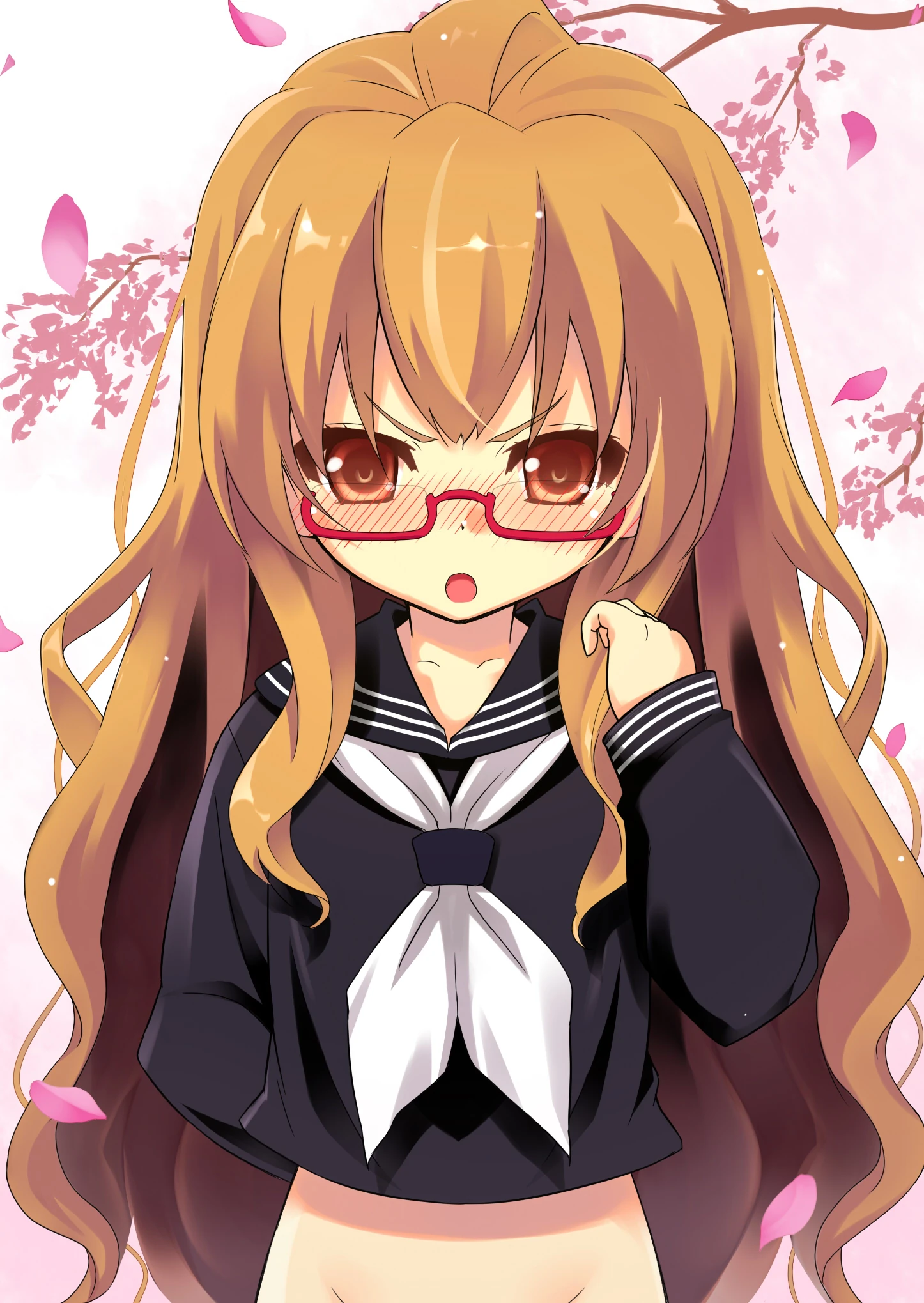 Imagen - Aisaka.Taiga.full.214081.jpg - Hora de aventura Wiki