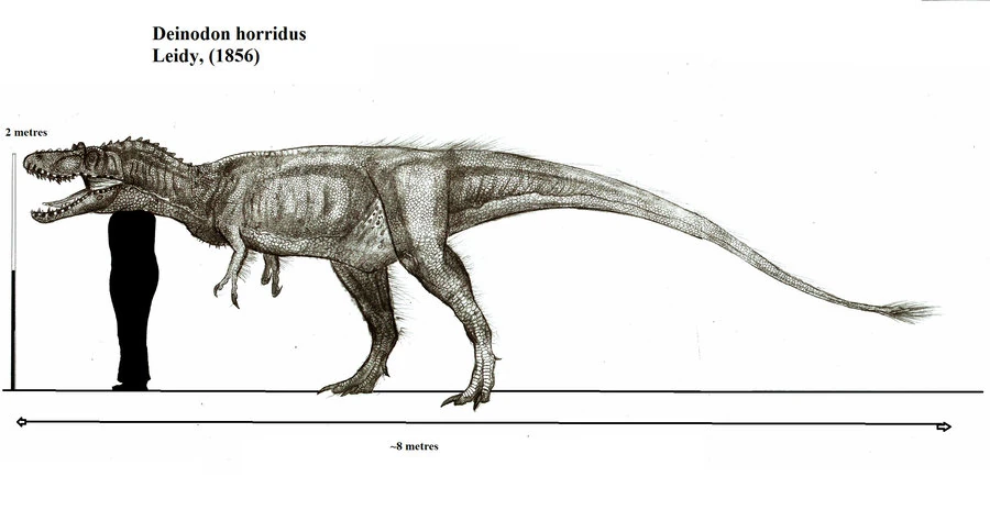 Deinodon - Dinopedia - the free dinosaur encyclopedia