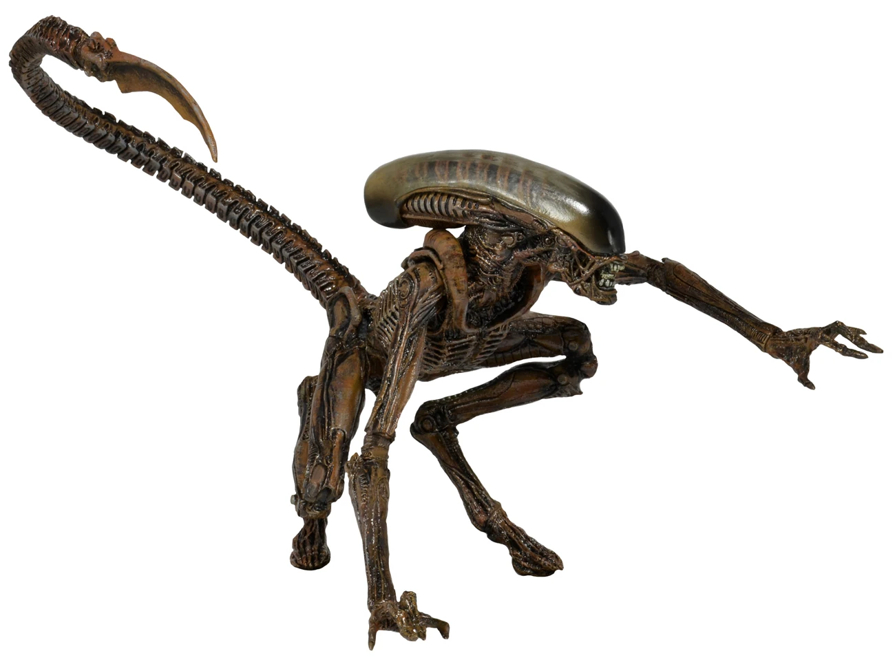 Runner Alien vs. Zergling vs. Hormagaunt | SpaceBattles