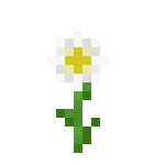 Image - Oxeye Daisy.png - Minecraft Pocket Edition Wiki