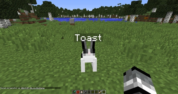 Image - Toastrabbit.png - Minecraft Wiki
