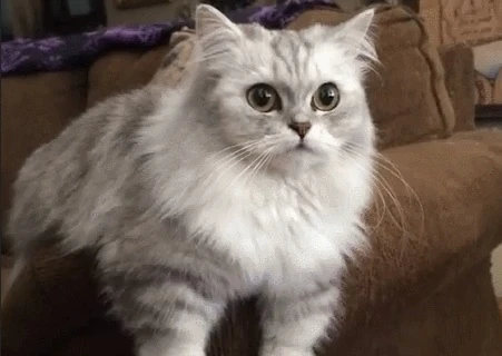 Mimi - Game Grumps Wiki