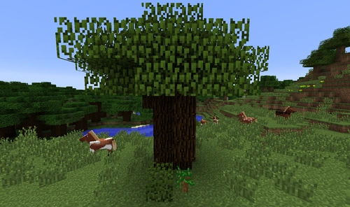 Image - DARK OAK TREES.png - Minecraft Pocket Edition Wiki