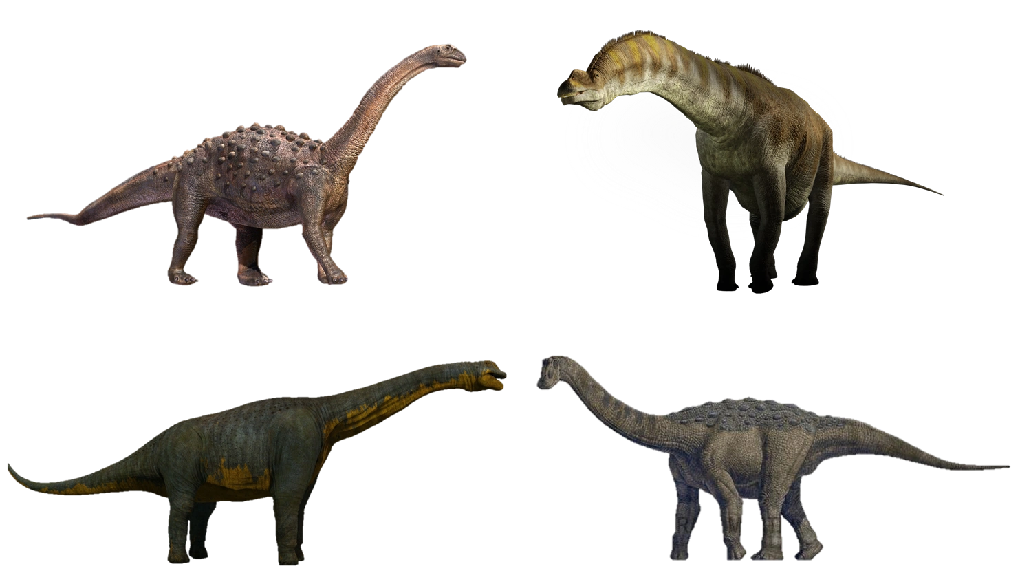 Image Gigantoraptorpng Dinopedia The Free Dinosaur
