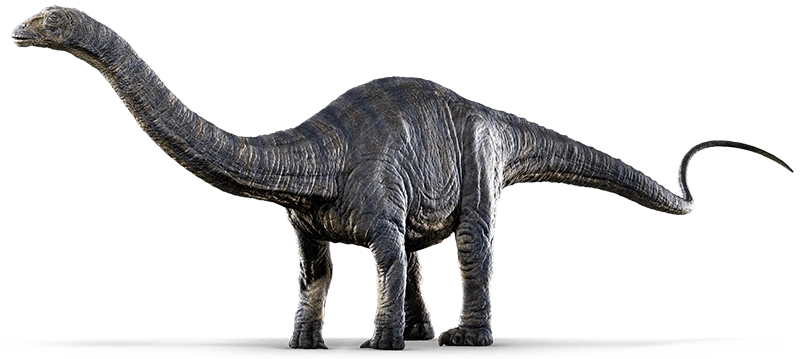 Image - Apatosaurus Render.png - Park Pedia - Jurassic Park, Dinosaurs ...