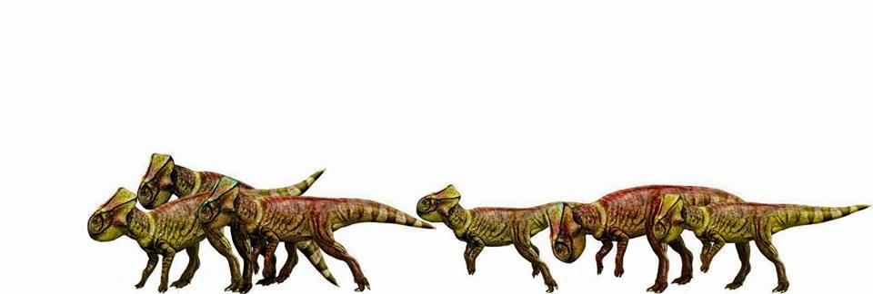 Microceratops - Jurassic Park Wiki