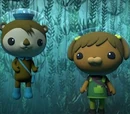 Category:Characters | Octonauts Wiki | FANDOM powered by Wikia